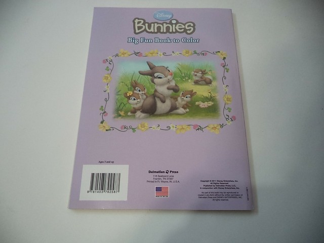 Disney Bunnies Big Fun Book to Color Funny Bunny Paperback – 2011 for ...