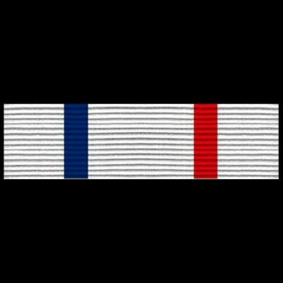 NAVY ROTC RIBBON UNIT NJROTC COLOR GUARD PIN UP US ARMY MARINES NAVY | eBay