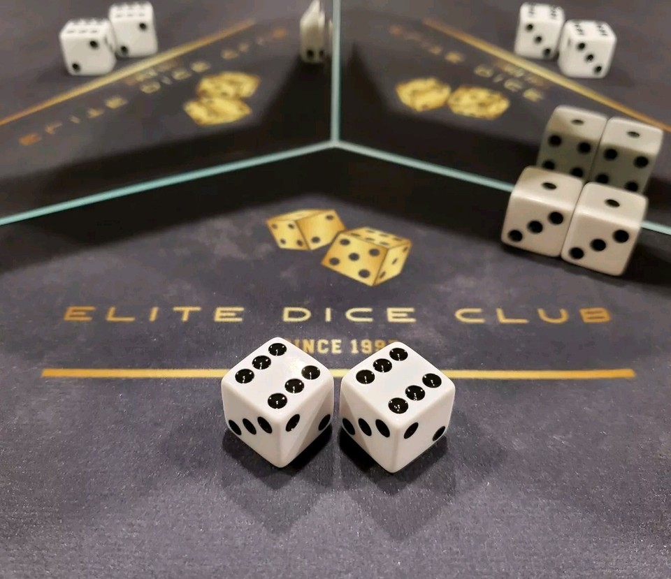 Loaded Dice Trick Dice Gaffed Dice Magic Dice Weighted Dice (2-3-6s ...