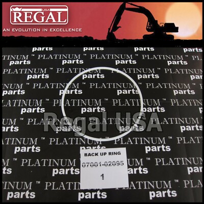0700102095 Back-up Ring for Komatsu (07001-02095) | eBay