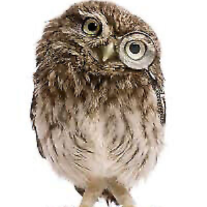 Little owls books | eBay Stores