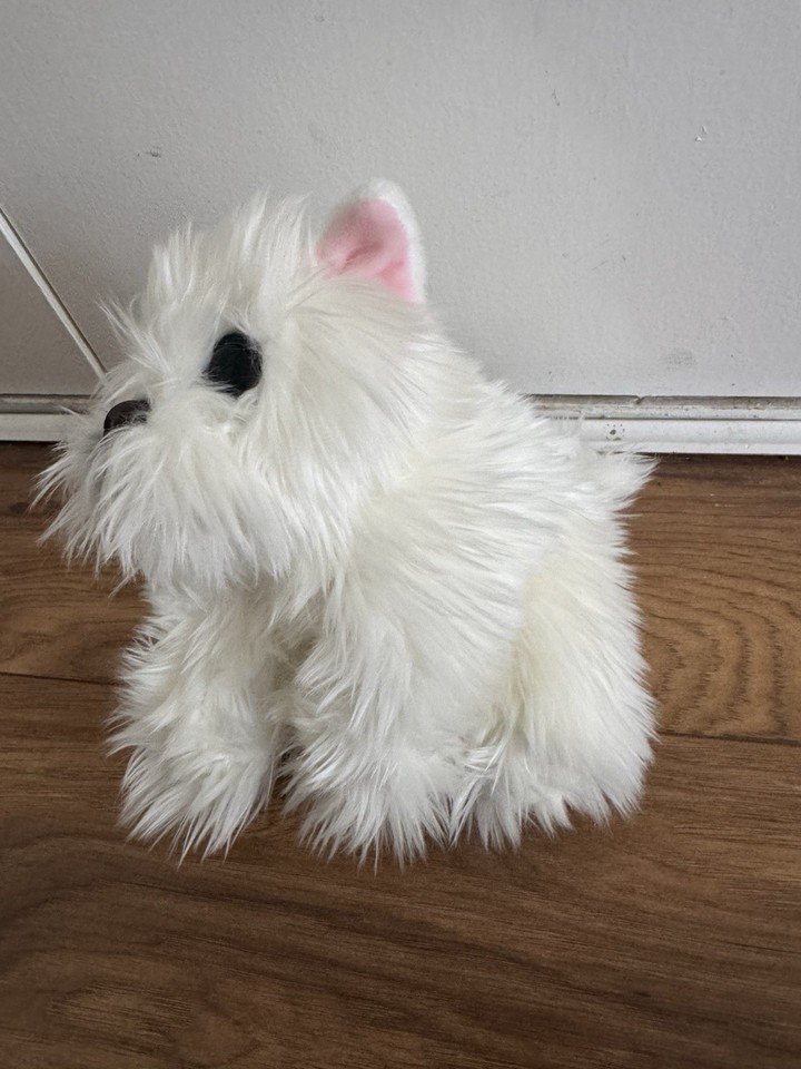 Keel Toys - Signature Cuddle - dog - Puppy Westie White Soft Fluffy ...
