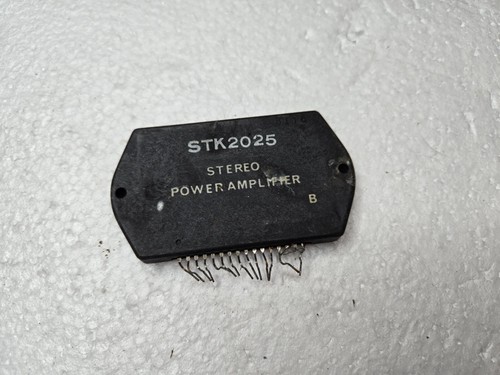 STK2025 STK-2025 Integrated Circuit IC Stereo Power Amplifier CHIP | eBay