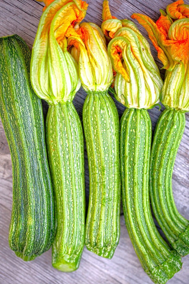 Costata Romanesco Zucchini Seeds | Rib Striped Italian Heirloom Squash ...