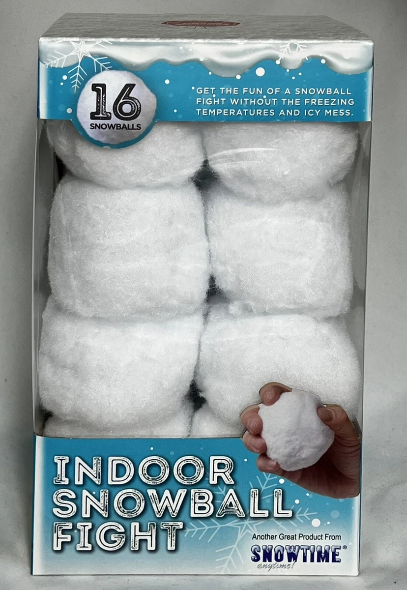 Indoor Snowball Fight Game