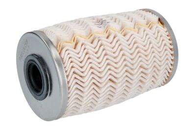 Fuel Filter PURFLUX C519 | eBay Australia