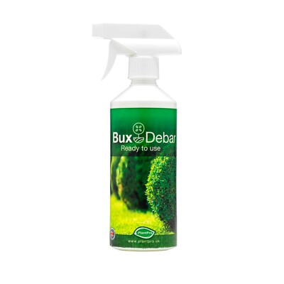 BuxDebar Box Tree Caterpillar prevention Spray 500ml RTU | eBay UK