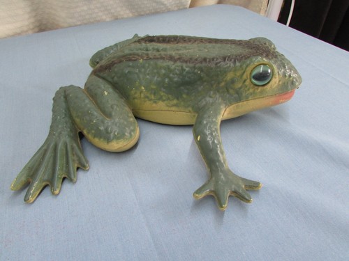 Croaking Frog With Motion Activated Sensor | eBay