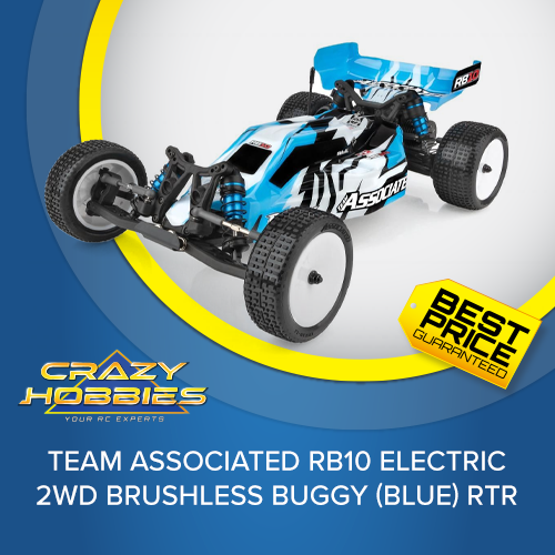 Team Associated RB10 Electric 2WD Brushless Buggy (Blue) RTR *IN STOCK ...
