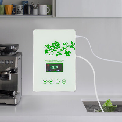 Food Vegetable Ozone Purifier Ozonator Sterilizer Ozone Generator Water 600mg/h | eBay