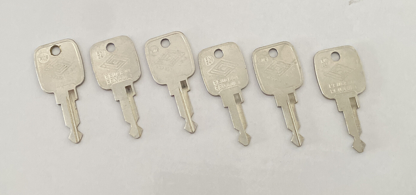 RN24 -X116 Key Blanks for AMC, Eagle, Peugeot, and Renault ( Price For ...