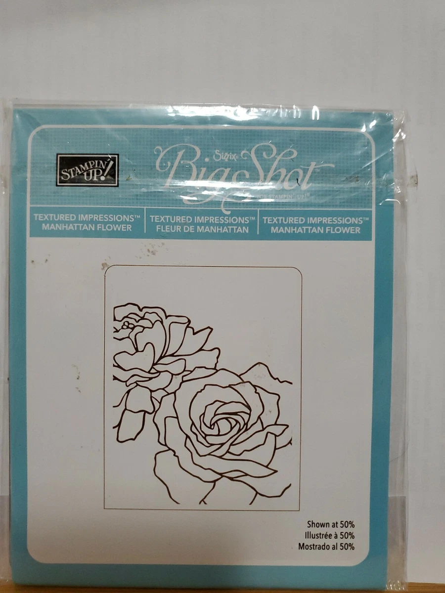 Sizzix Manhattan Flower Embossing Folder | Best Flower Site