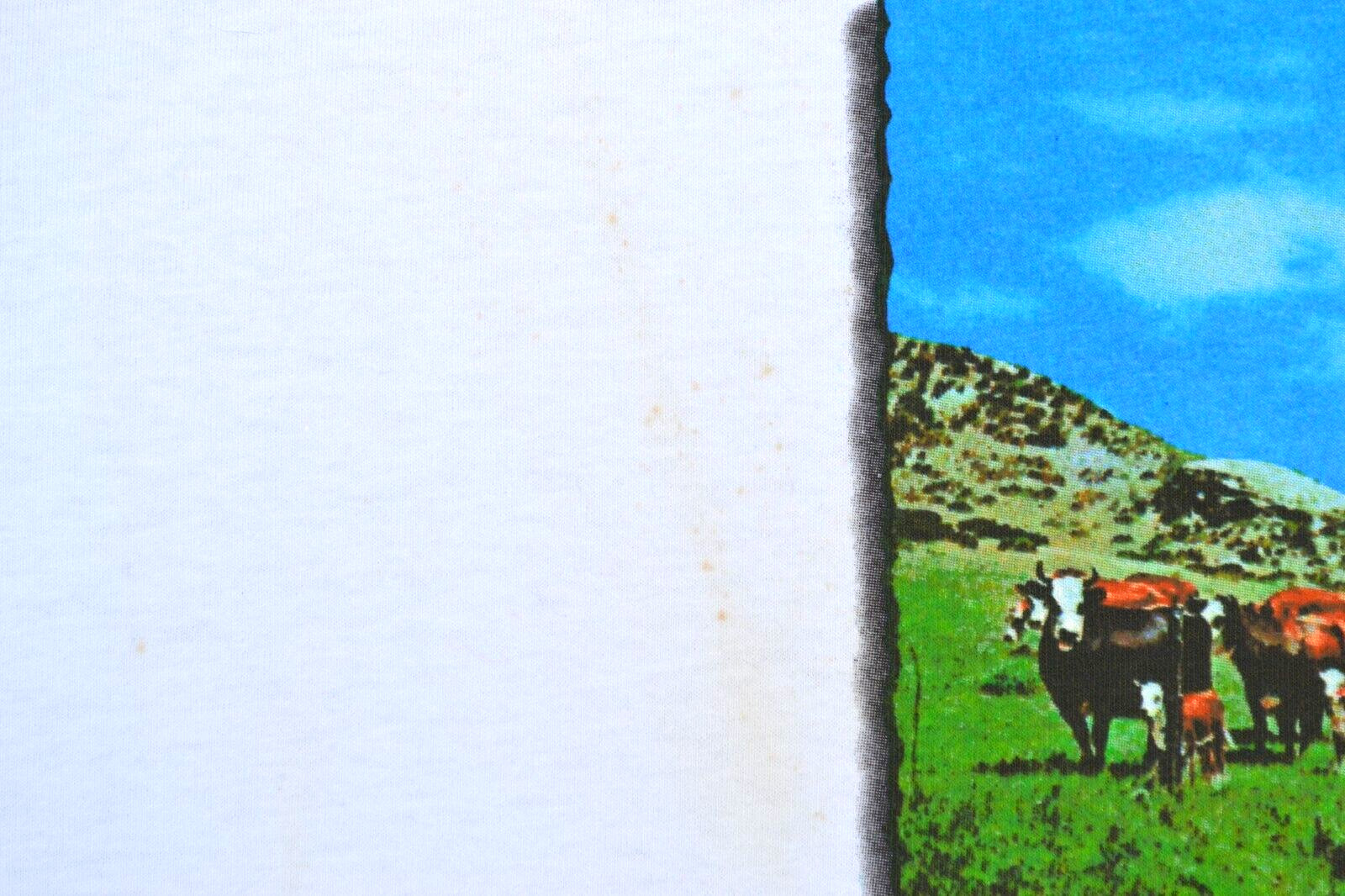 steve forbert tee T shirt cattle punching the jackrab… - Gem