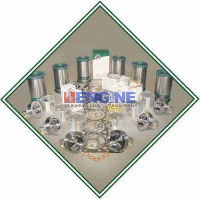 Caterpillar In Frame Overhaul Kit CS Liner C15 1010016 6NZ 9NZ | eBay