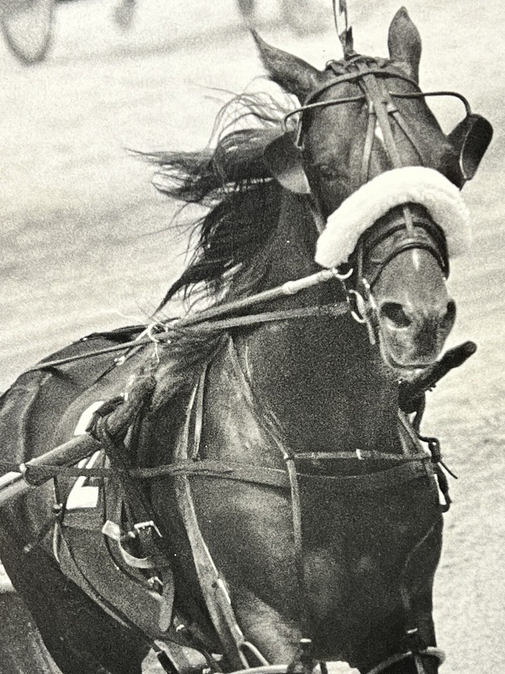 1974 LITTLE BROWN JUG HORSE RACE PREVIEW FRAMED PICTURE JOCKEY TOM ...