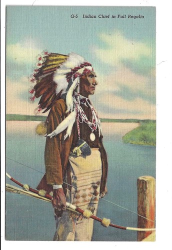POSTCARD NATIVE AMERICANA INDIAN CHIEF IN FULL REGALIA | eBay