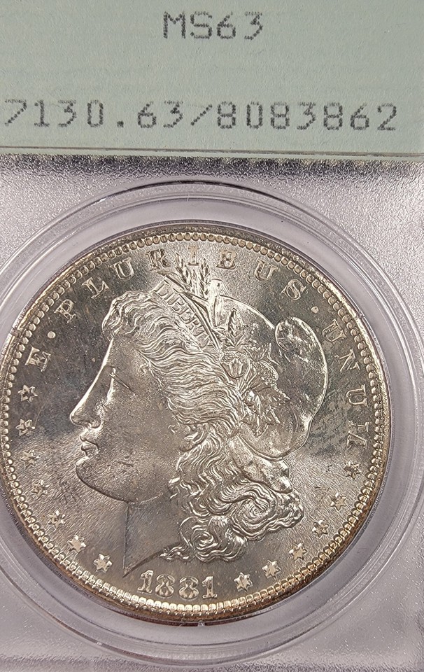 1881 S Morgan Silver Dollar, PCGS MS 63, vintage rattler holder | eBay