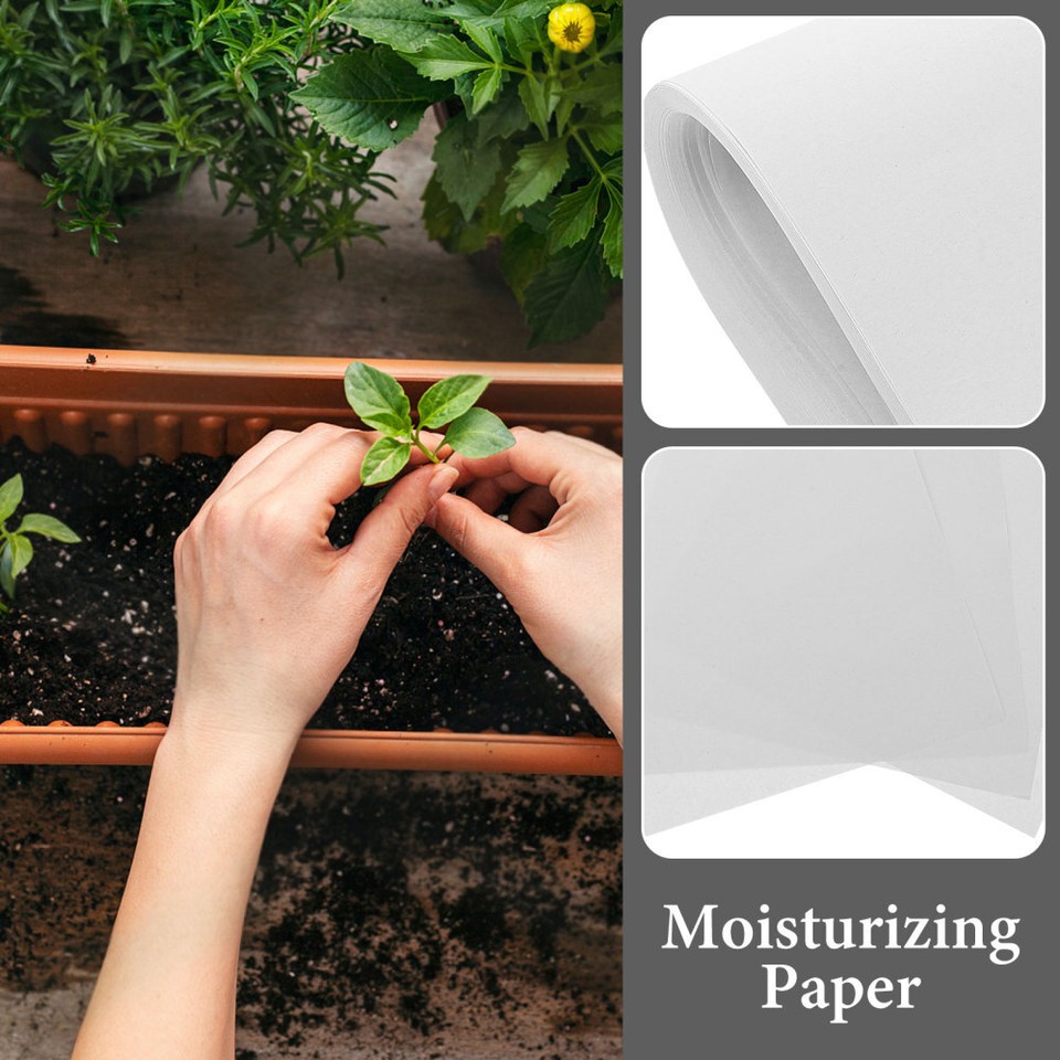 Germinating Paper Planting Paper Sprout Paper Germination Paper | eBay