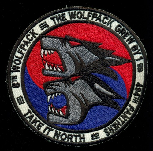 USAF 8th Wolfpack 494th Panthers Patch T-5 | eBay