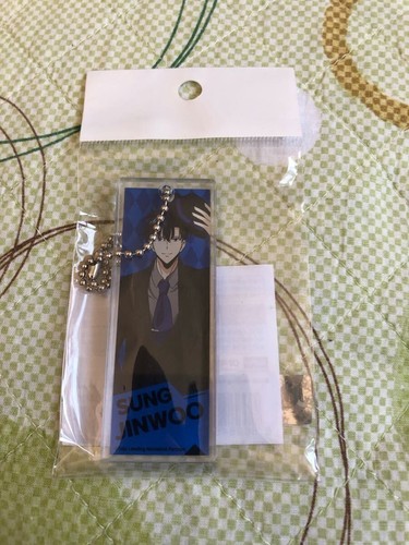 Acrylic Key Holder I Level Up Only Solo Leveling Solo Leveling | eBay