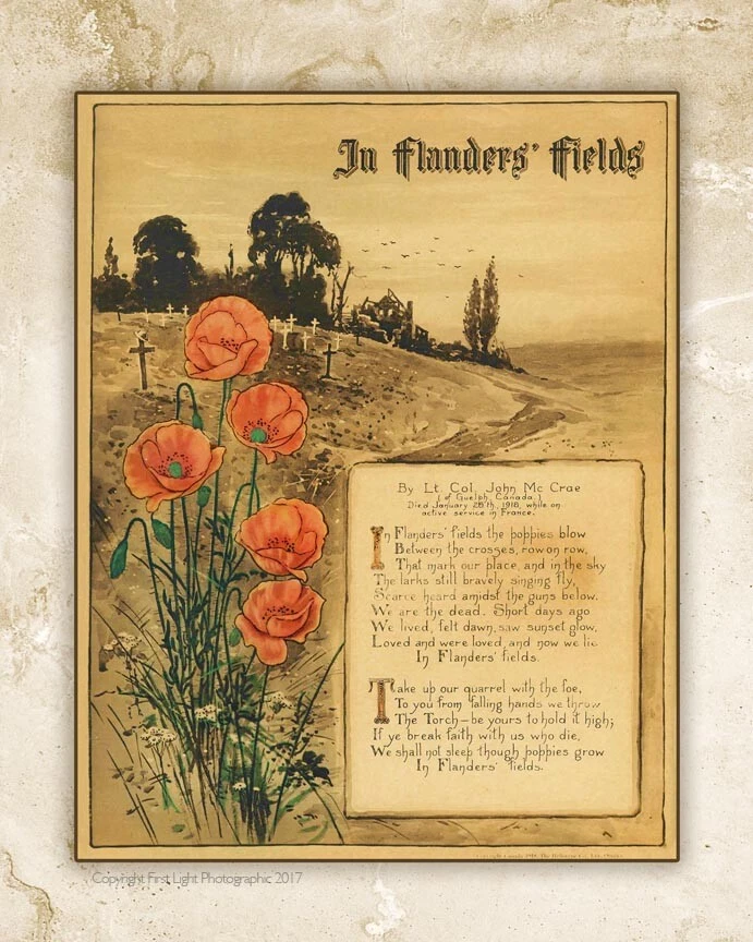 Flanders Field Poem