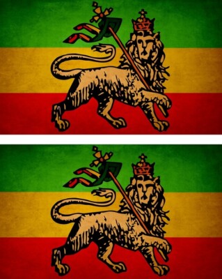Rasta Lion Flag