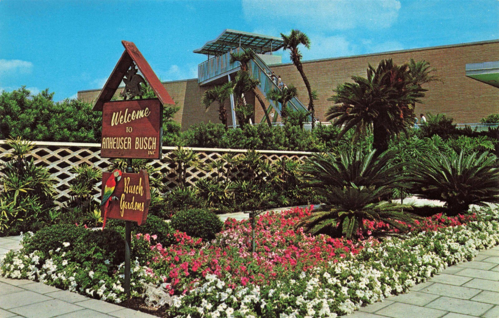 Postcard FL Tampa Anheuser Busch Gardens Beer Brewery Observation Deck ...