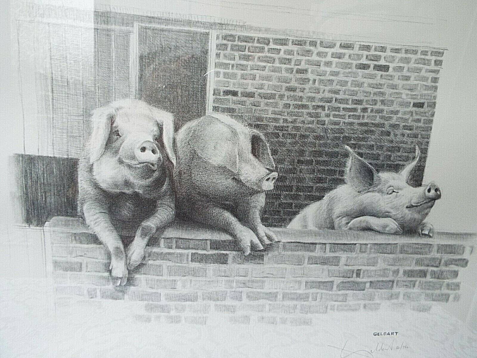 Signed LIMITED EDITION (50/750) William Geldart GRAPHITE PRINT 3 Pigs ...