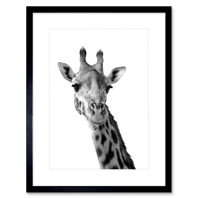 Black White Giraffe Portrait Face Art Picture Framed Wall Art Print | eBay