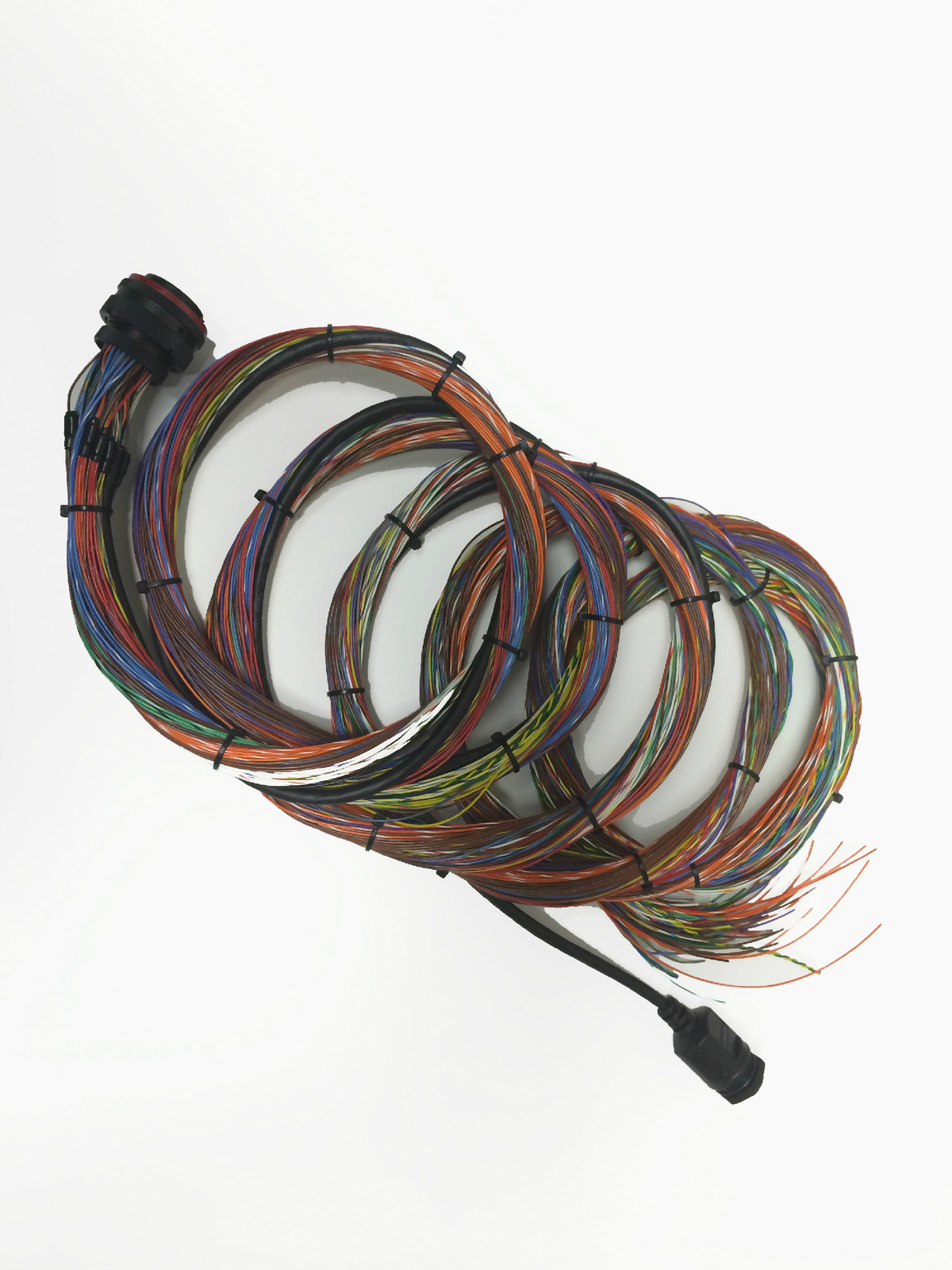 MoTeC C185 Un-Termed Wiring Harness for sale online | eBay
