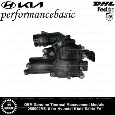 OEM Genuine Thermal Management Module 256002M810 for Hyundai Kona Santa ...