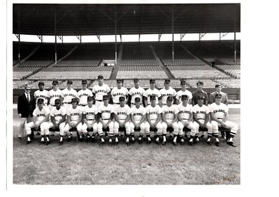 1971 LOUISVILLE COLONELS 8X10 TEAM PHOTO KENTUCKY BASEBALL | eBay