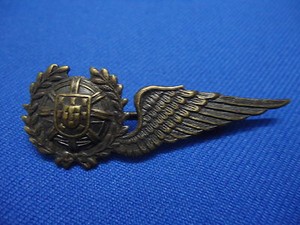 Half wing military emblem - virtexpert