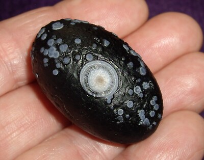 Weird Amazing Wind Carved Gobi Desert Agate "Gobi Stone" 20.5g | eBay