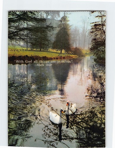Postcard Greeting Card with Bible Verse and Swans River Nature ...
