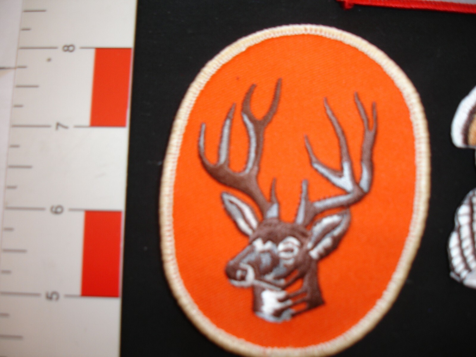 Hunting, fishing, outdoor sports, vintage patch collection | eBay