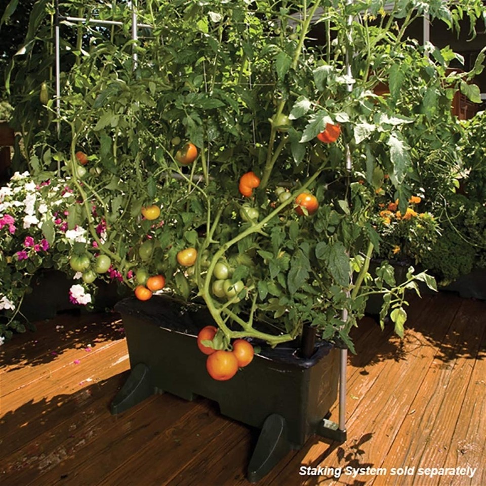 Novelty (#80101) EarthBox® Garden Kit - Green | eBay