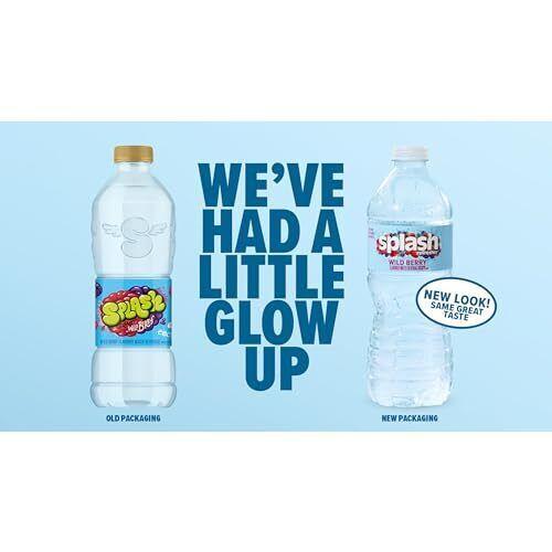 Splash Refresher Lemon Flavored Water 16.9 Fl Oz Plastic Bottle Pack of ...