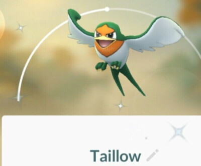 Pokémon Go Shiny Taillow Registered | eBay