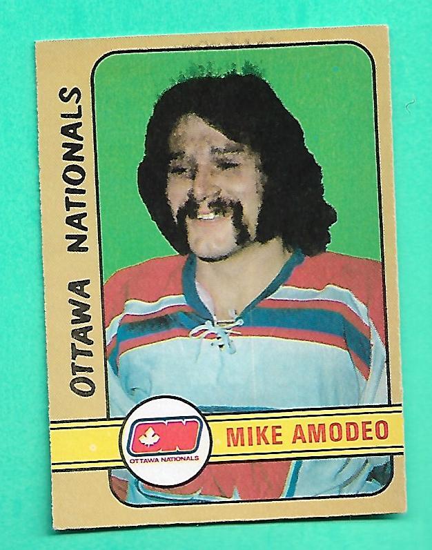 (1) MIKE AMODEO 1972-73 O-PEE-CHEE WHA SERIE 3 # 291 OTTAWA ROOKIE EX ...