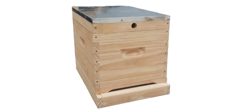 8 FRAME FLAT PACK BEEHIVE BOX WITH MESH BASE BEE HIVE BOTTOM BOARD ...