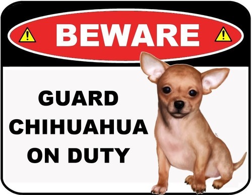 Funny Sign "Beware - Guard Chihuahua on Duty" Laminated Dog Sign ...