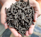 Long Pepper Natural Pure Whole Ground Powder Piper longum Poivre long ...