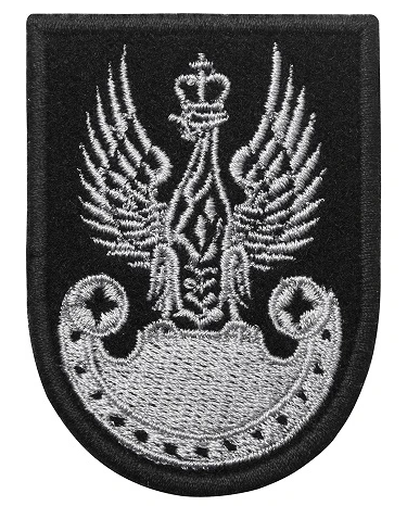 669 WW2 POLISH ARMY TANKER CAP PATCH EAGLE CROWNED 1919 MODEL POLAND | eBay