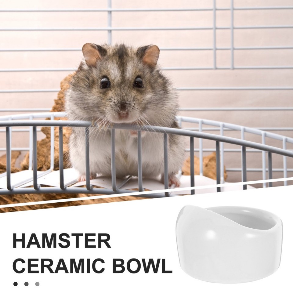 Small Animal Food Bowl Ceramic Hamster Bowls Feeding Hamsters Dish ...