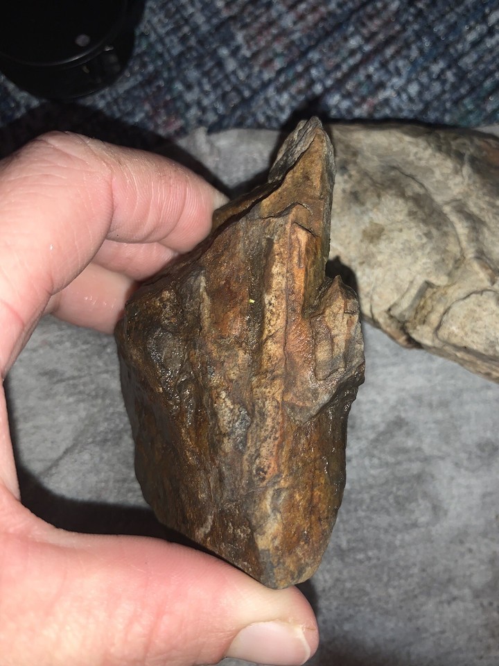 Ancient Native American Fossil Bone Needle And Fish Hook Tool Artifact ...