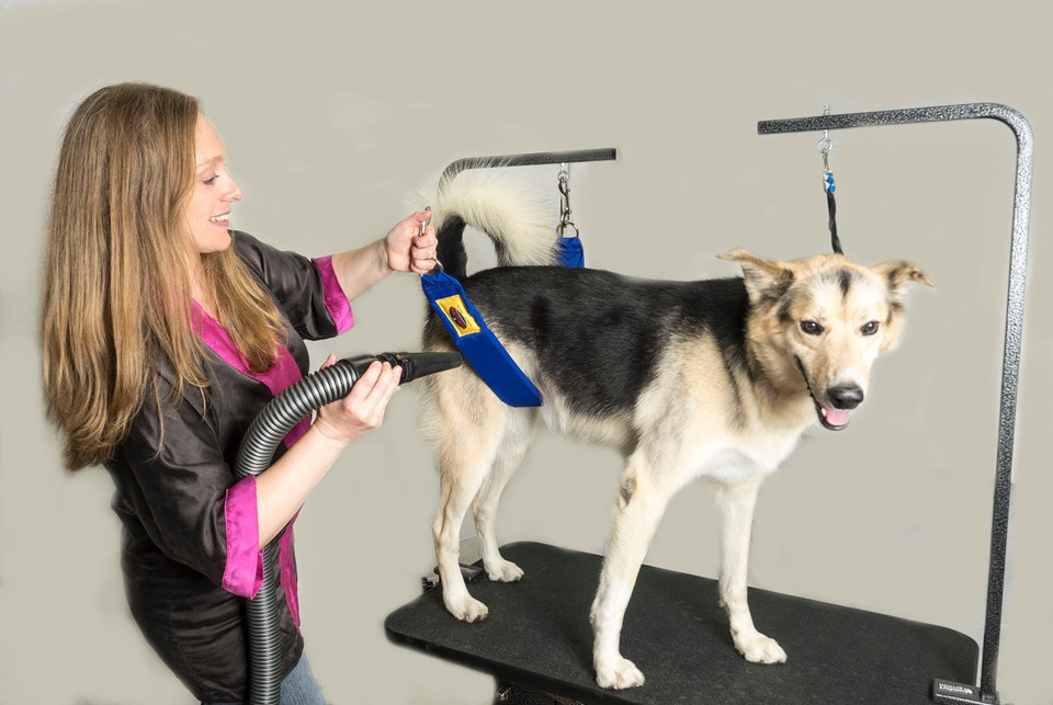 The Belly Band: Pet/Dog Grooming Safety Harness Restraint Loop Band | eBay