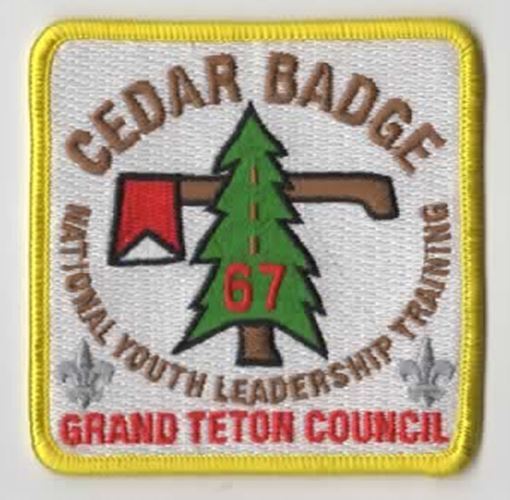 1967 Cedar Badge Grand Teton Council YLW Bdr. [YA1806] | eBay
