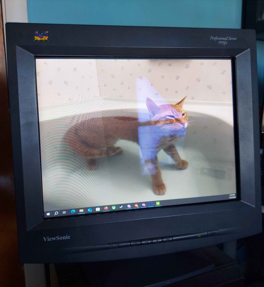 ViewSonic P95f+ 19" PerfectFlat Vintage CRT Monitor - For Parts | eBay