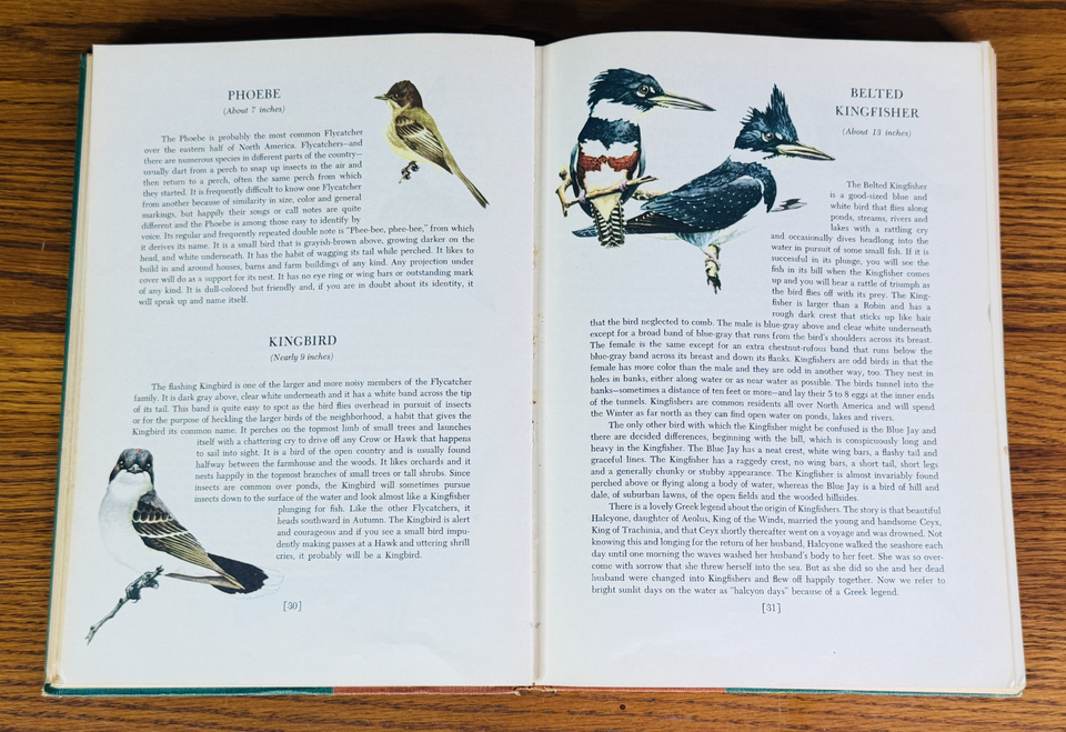 AN INTRODUCTION TO NATURE BIRDS WILD FLOWERS TREES 1955 John Kieran HC ...